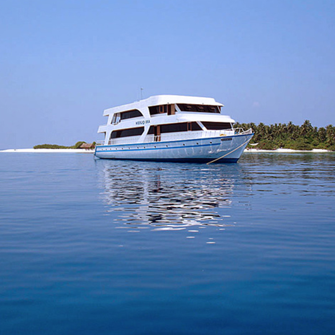 Ari Queen - Elysian Maldives